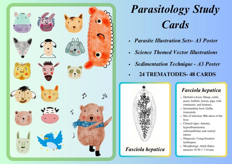 Parasitology Study Cards - Etsy