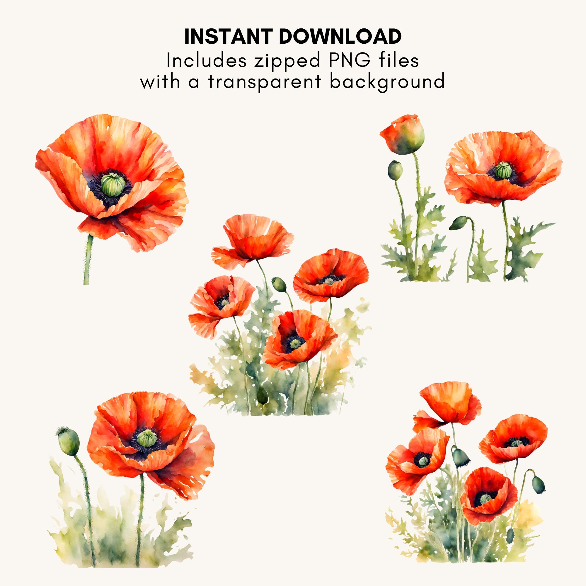 Poppy Flowers Clipart Bundle: Transparent PNG, Commercial Use (digital ...