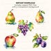 Watercolor Fruits Clipart Bundle: Transparent PNG Images (digital ...