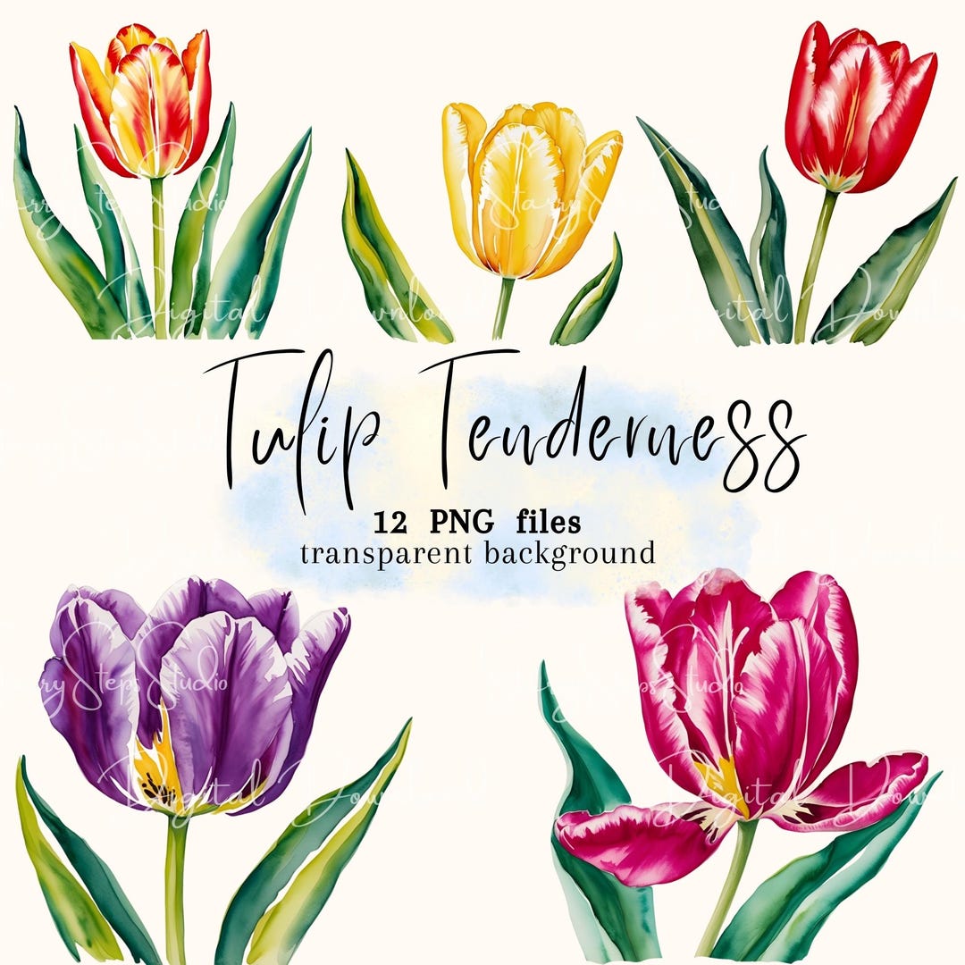 Tulip Clipart Set: Transparent PNG, Sublimation Design (digital ...