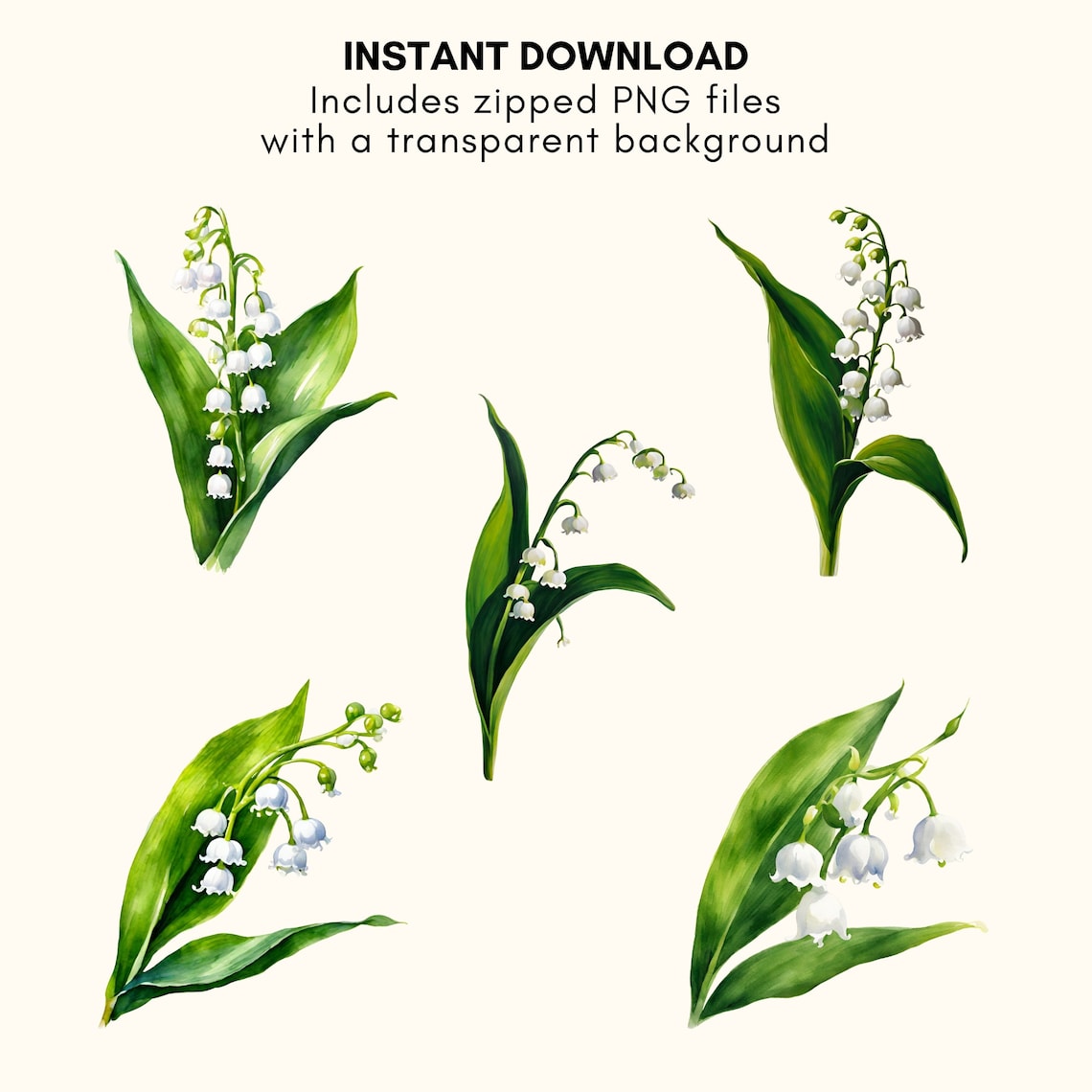 Lily of the Valley Clipart Bundle Digital Download, Lily of the Valley ...
