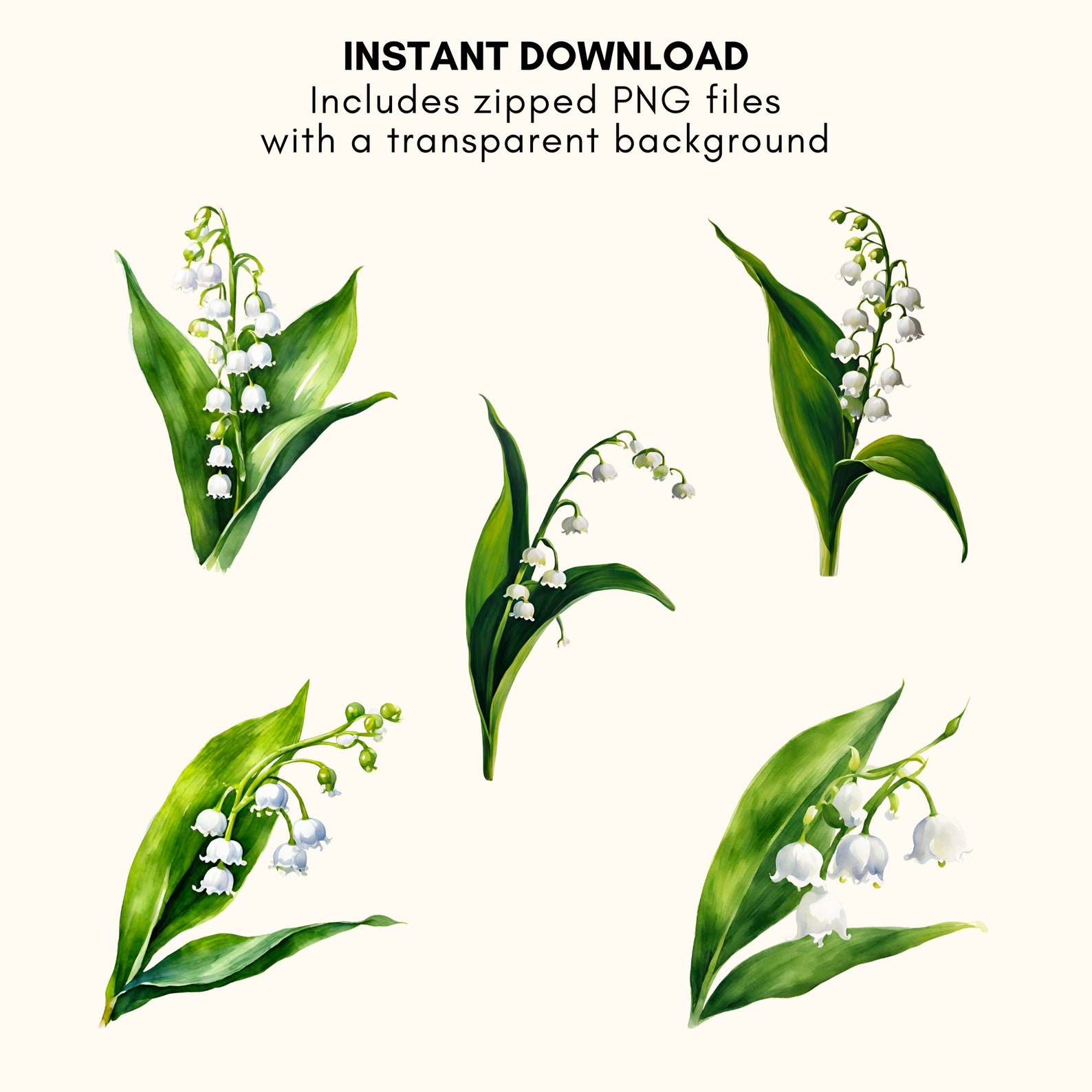 Lily of the Valley Clipart Bundle Digital Download, Lily of the Valley ...