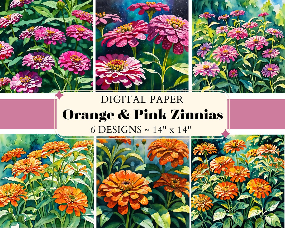 Zinnia Flowers Digital Papers, Zinnia Flowers Backgrounds, Zinnia ...