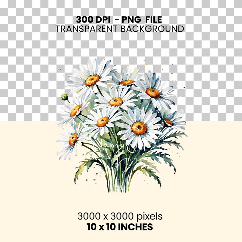 Daisy Bouquet Clip Art, Watercolor Daisies PNG Files, Digital Download ...