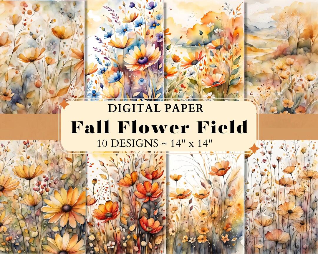 Fall Flower Field Digital Paper: Abstract Autumn Floral Backgrounds ...