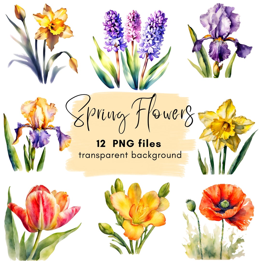 Spring Flowers Clipart Bundle: Transparent PNG Graphics (commercial Use ...