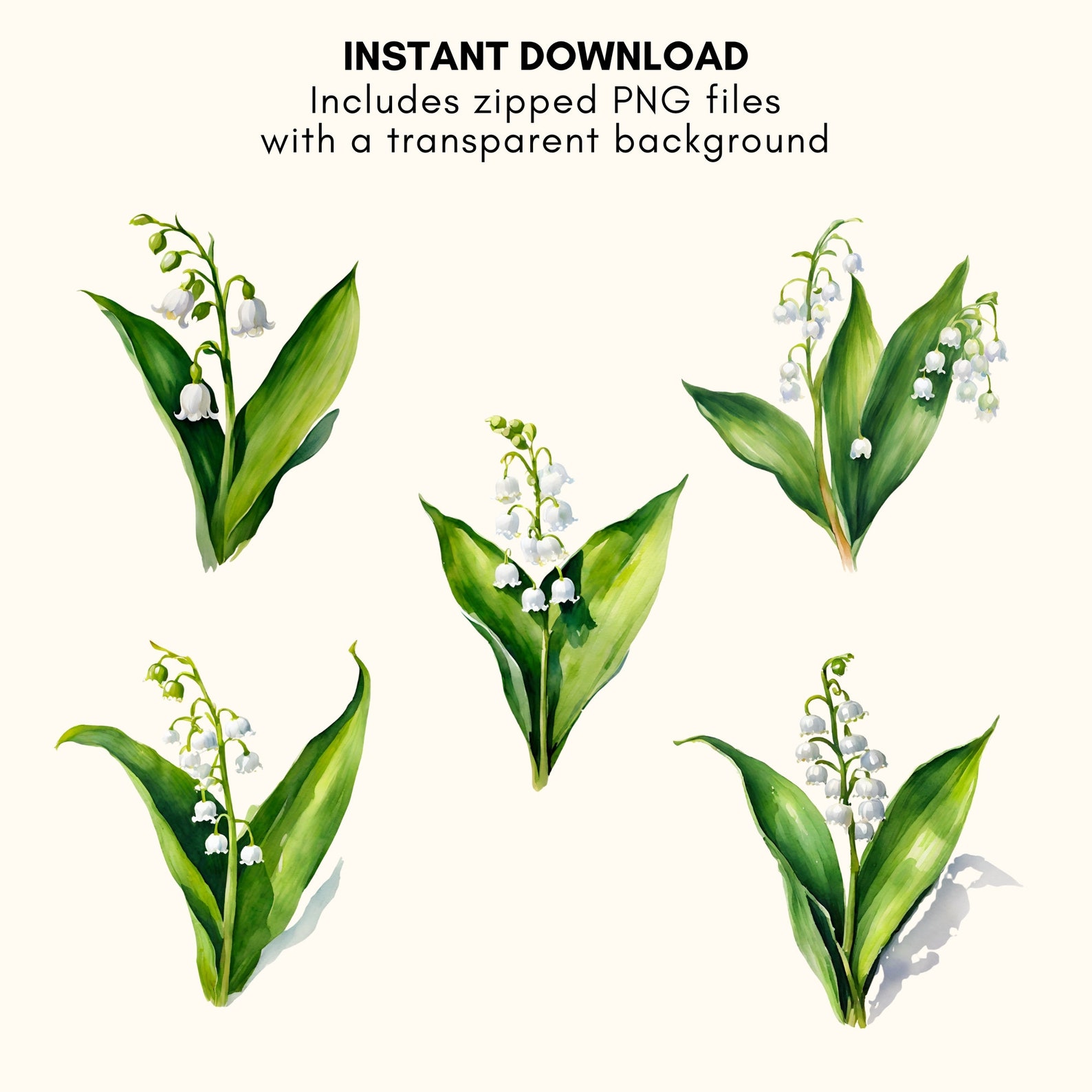 Lily of the Valley Clipart Bundle Digital Download, Lily of the Valley ...