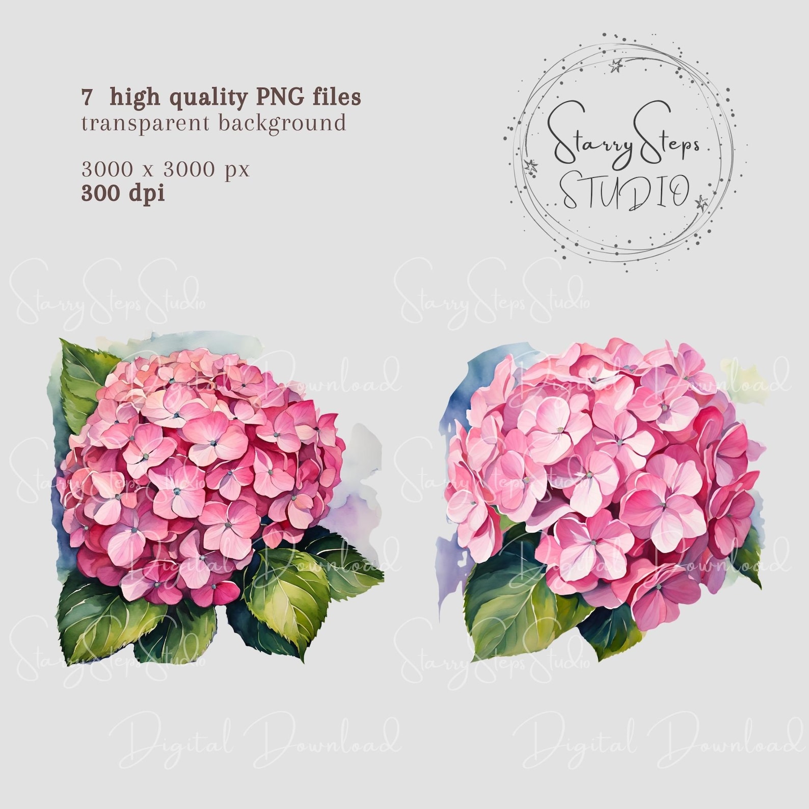 Hydrangea Clipart Bundle: Watercolor Floral PNG Graphics (digital ...