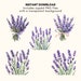 Lavender Bouquet Clipart Bundle: Transparent PNG Graphics (digital ...