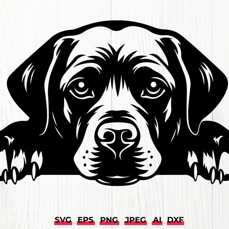 Peeking Lab Svg - Etsy