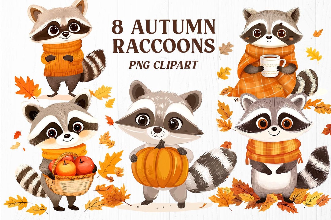 Autumn Raccoon Clipart Bundle | 8 Cute Fall Raccoons PNG | Woodland ...