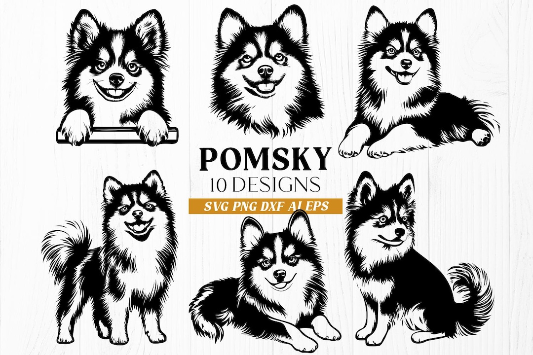 Pomsky Dog SVG Bundle | 10 Cute Pomsky Designs Png Dxf Ai Eps | Fluffy ...