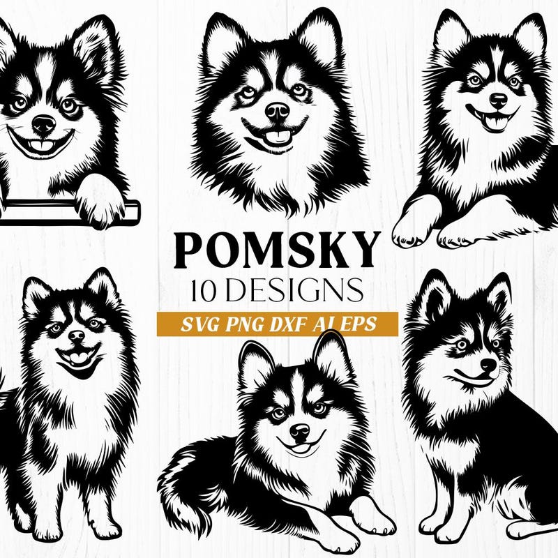 Dog Shirt Pomsky - Etsy UK