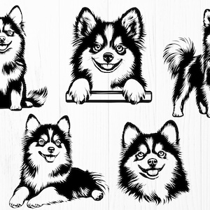 Pomsky Dog SVG Bundle | 10 Cute Pomsky Designs Png Dxf Ai Eps | Fluffy ...