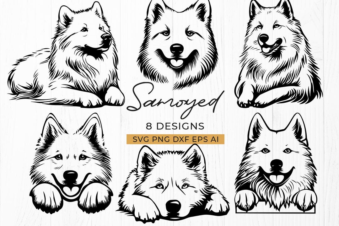 Samoyed Dog SVG Bundle 8 Samoyed Designs for Cricut, Png, Eps, Dxf, Ai ...