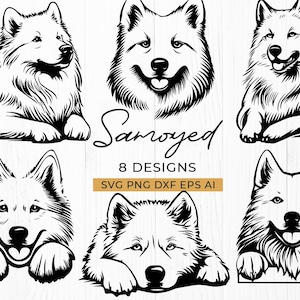 Samoyed Dog SVG Bundle 8 Samoyed Designs for Cricut, Png, Eps, Dxf, Ai ...