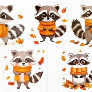 Autumn Raccoon Clipart Bundle | 8 Cute Fall Raccoons PNG | Woodland ...