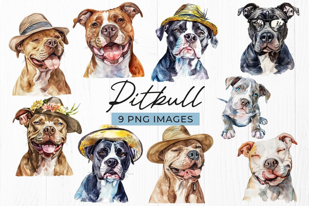 American Pitbull PNG Bundle - 9 Watercolor Dog Images, Printable ...