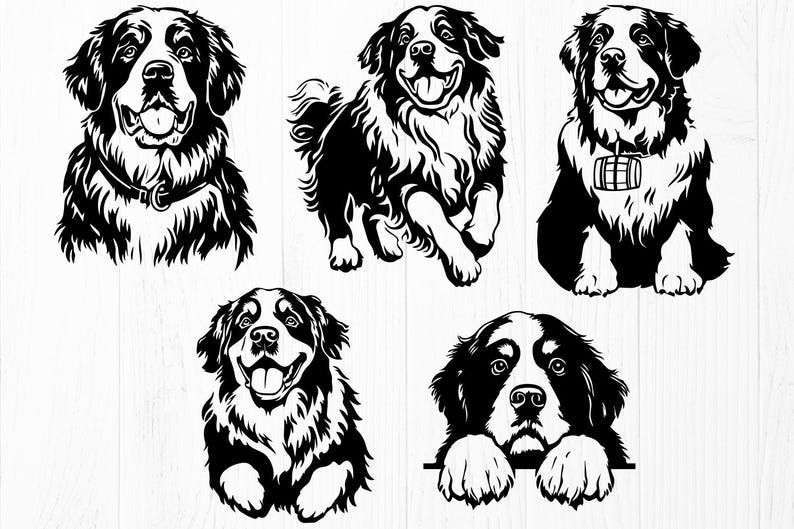 Saint Bernard Dog SVG Bundle | 11 Saint Bernard Designs | Dog Lover Svg ...