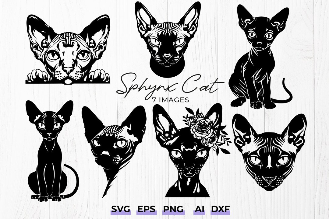 Sphynx Hairless Cat SVG PNG Bundle - Cat Owner Gift Svg, Sublimation ...