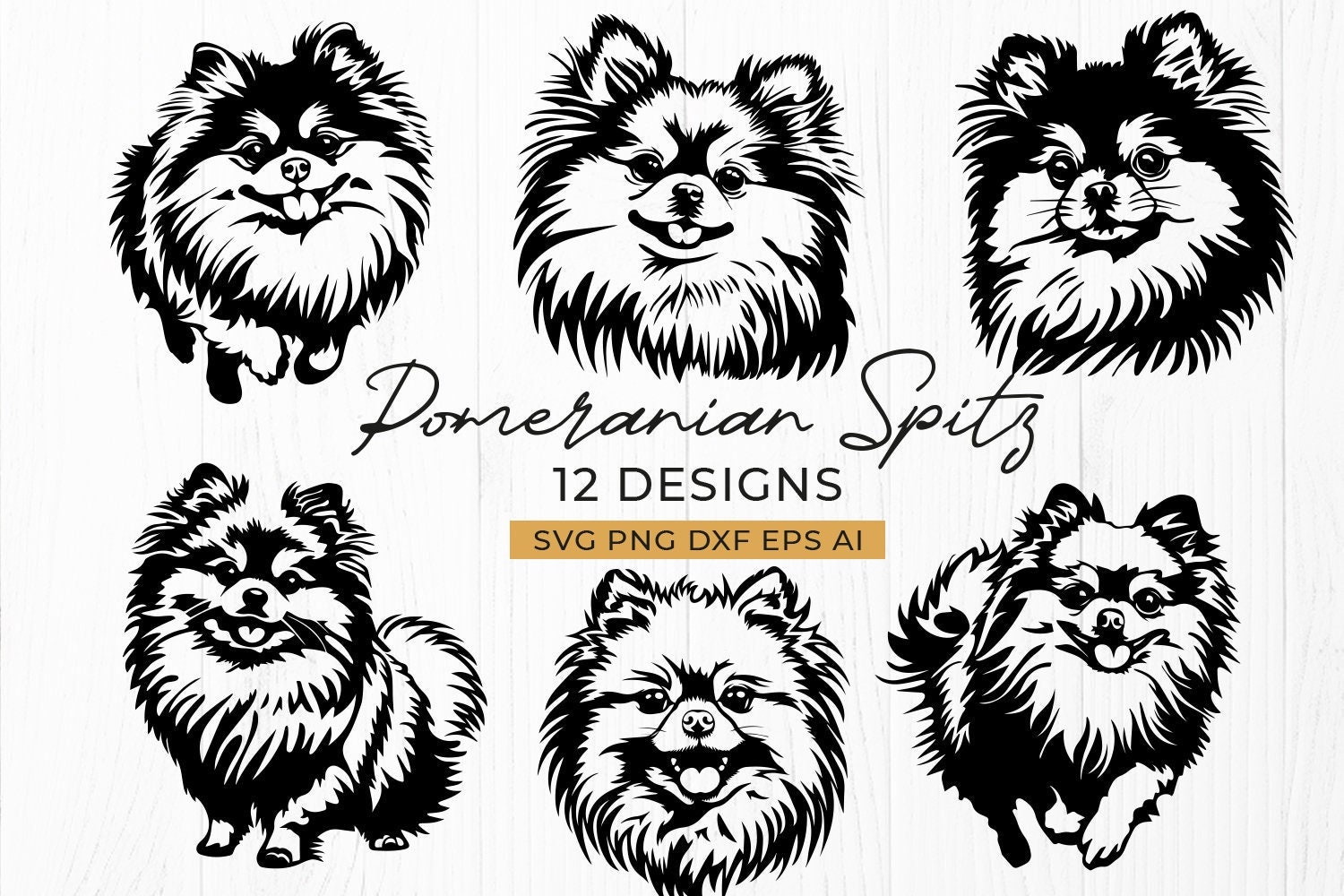 Pomeranian Spitz SVG Bundle 12 Dog Designs for Cricut, Silhouette ...