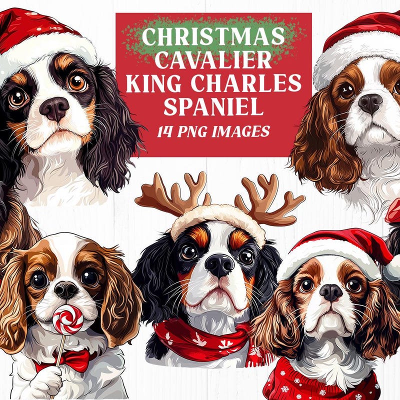 Cavalier Spaniel Christmas Cards - Etsy UK
