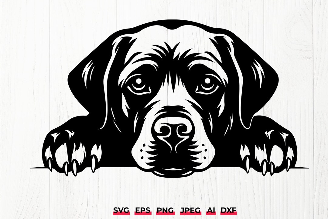 Peeking Black Labrador Retriever SVG | Dog Lover's Vector DXF | Cricut ...