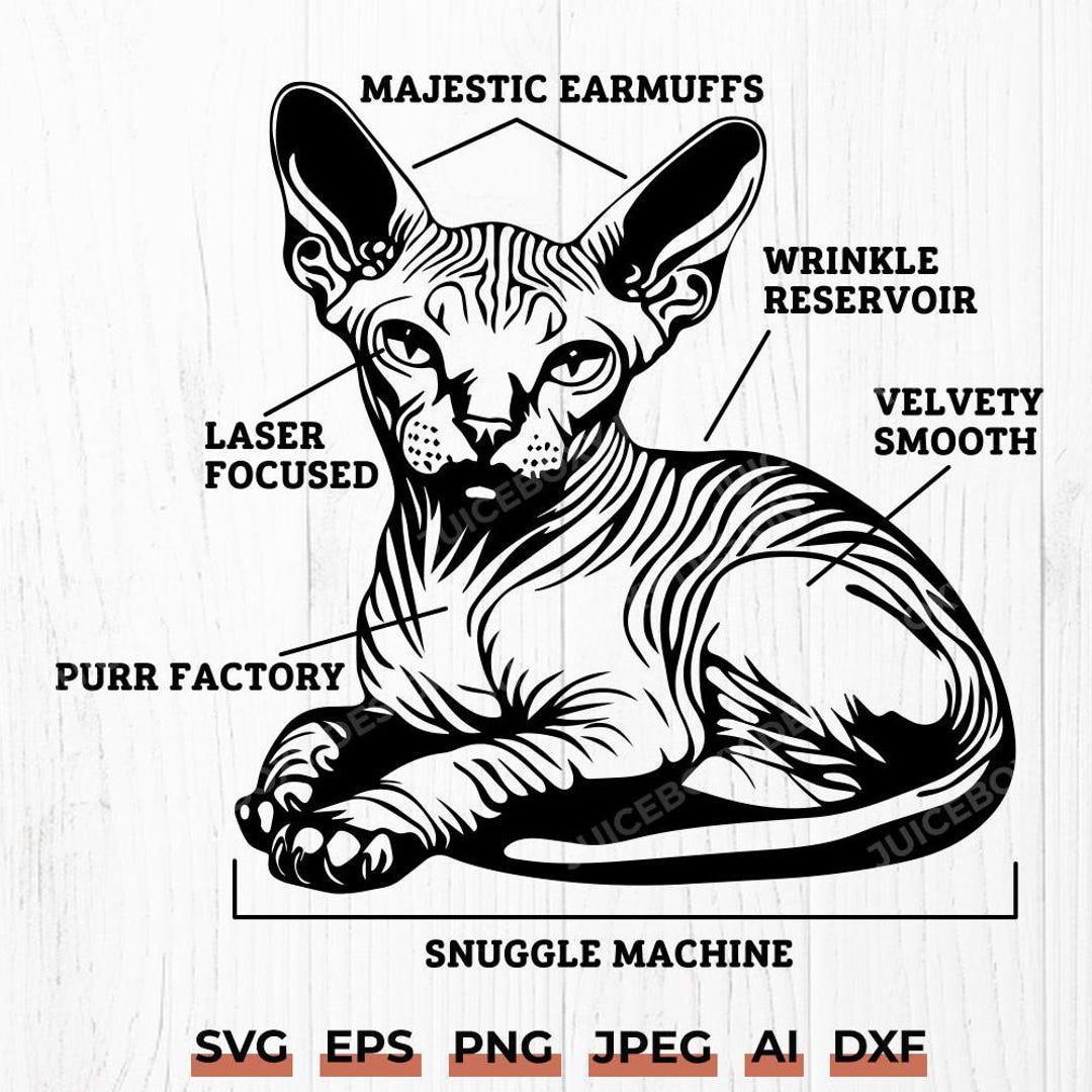 Sphynx Cat Anatomy SVG – Funny Hairless Cat Diagram PNG for Cricut, Cat ...