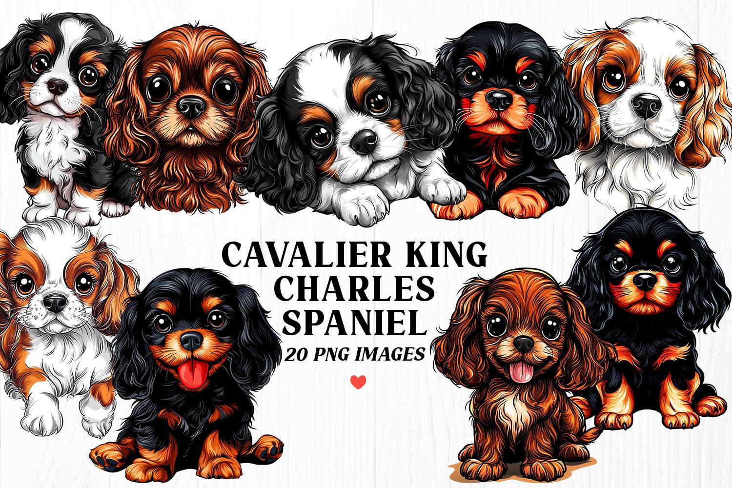 Cavalier King Charles Spaniel PNG Bundle – 20 Adorable Puppy Designs ...
