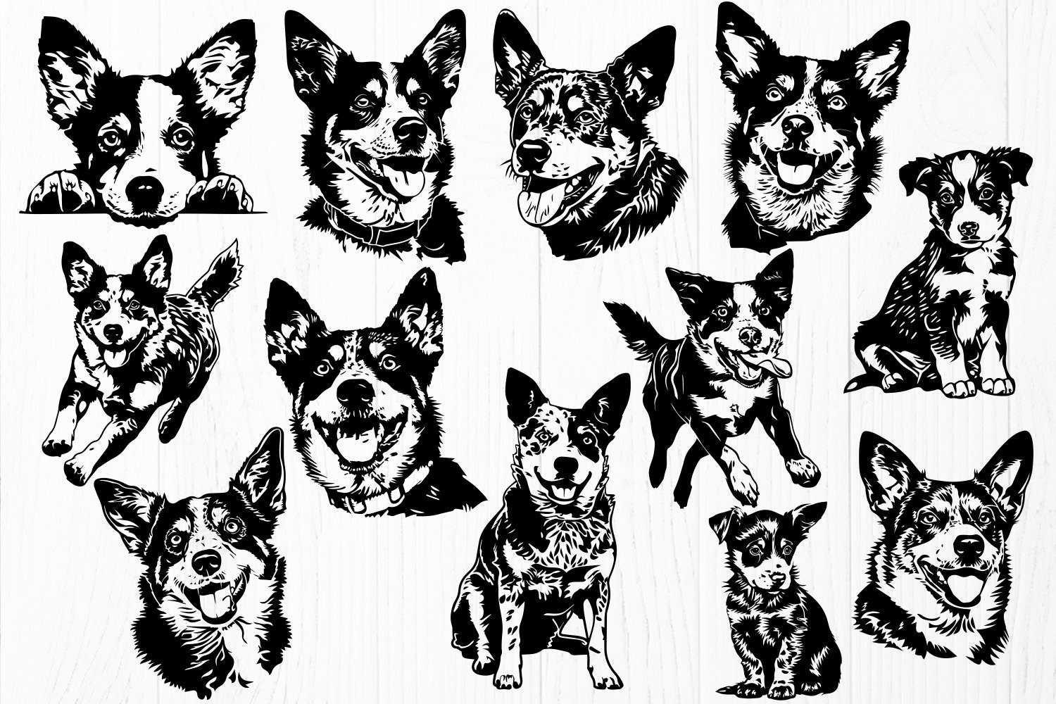 Australian Cattle Dog Blue Heeler SVG Cricut | Cute Puppy Clipart, Dog ...