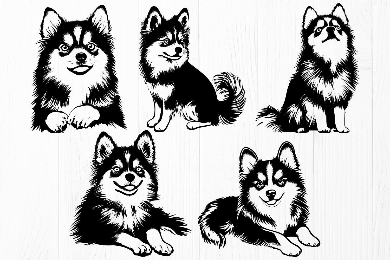 Pomsky Dog SVG Bundle | 10 Cute Pomsky Designs Png Dxf Ai Eps | Fluffy ...