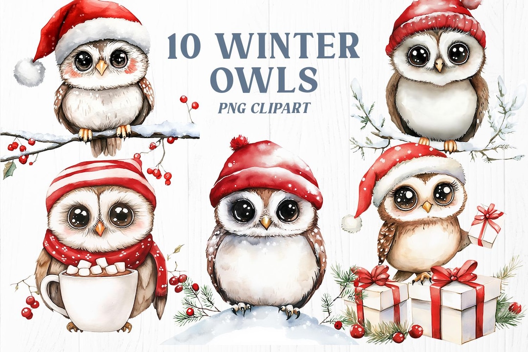 Christmas Winter Owls PNG Clipart Bundle Cute Holiday Owls With Gifts ...