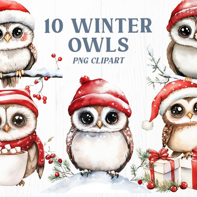 Owl Illustrations - Etsy