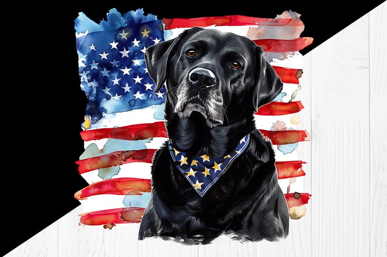 Patriotic Black Labrador Clipart 5 PNG Images Labrador Retriever ...