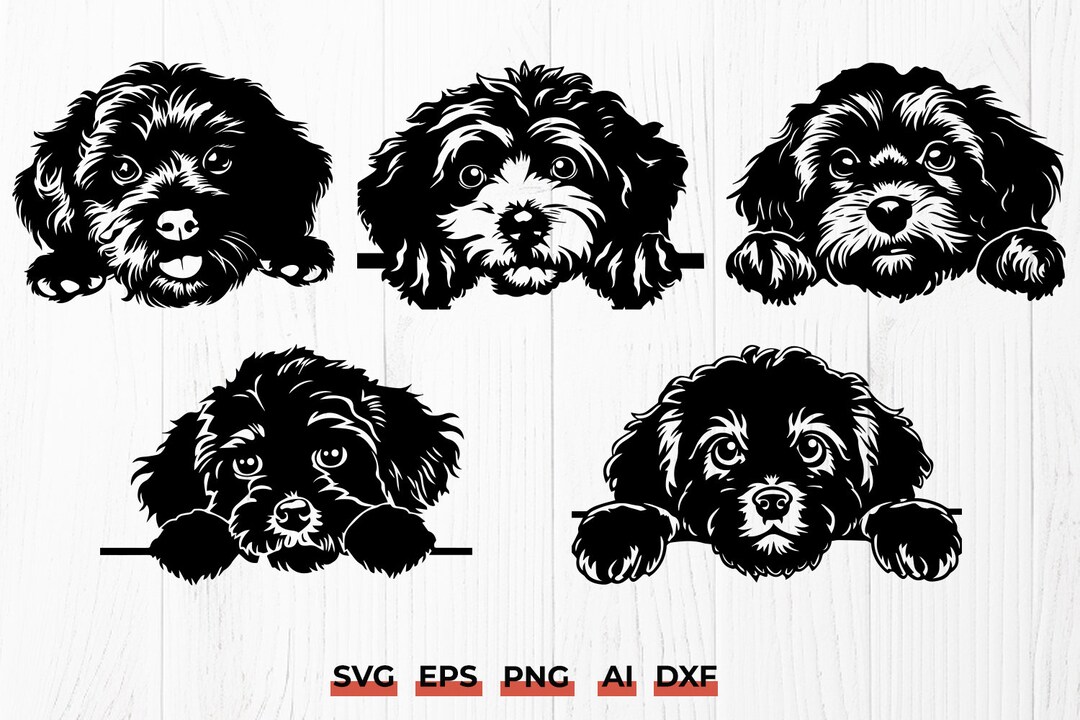 Peeking Cavapoo Dog Clipart – 5 Puppy Face Cut Files (svg, Png, Eps ...