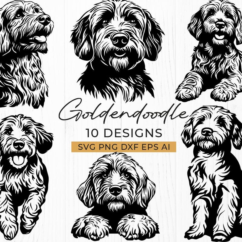 Goldendoodle Svg - Etsy