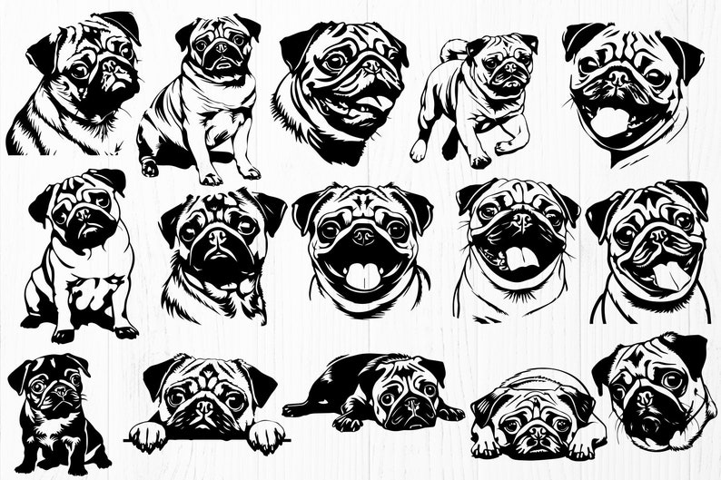 Pug Dog SVG Bundle - Peeking Pug Clipart, Cute Pug SVG Files for Cricut ...