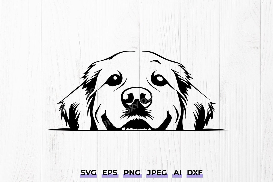 Peeking Golden Retriever Dog SVG – Cute Dog Face Line Art PNG, Golden ...