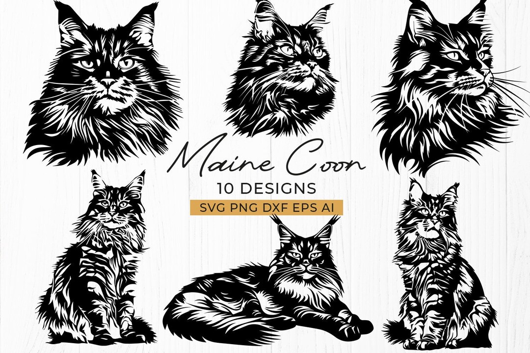 Maine Coon Cat SVG Bundle | 10 Detailed Designs for Crafts | Png Dxf ...