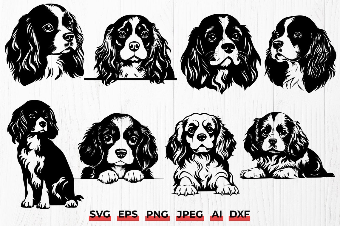 Cavalier King Charles Spaniel Dog Breed SVG Bundle Cavalier Animal ...