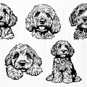 Cavapoo Dog SVG Bundle – 10 Cute Puppy Silhouette Designs, Digital ...