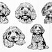 Cavapoo Dog SVG Bundle – 10 Cute Puppy Silhouette Designs, Digital ...