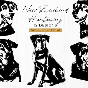New Zealand Huntaway Dog SVG Bundle: 12 Designs, Shepherd Clipart ...