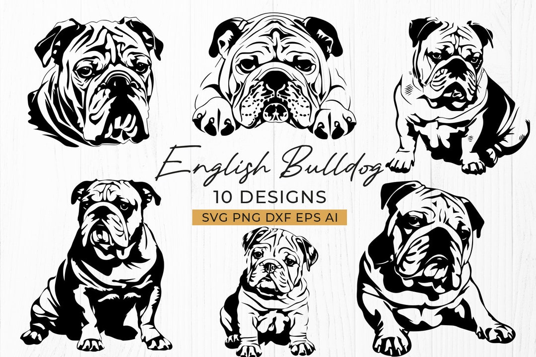English Bulldog SVG Bundle | Dog Lover PNG Clipart | Cute Bulldog Art ...