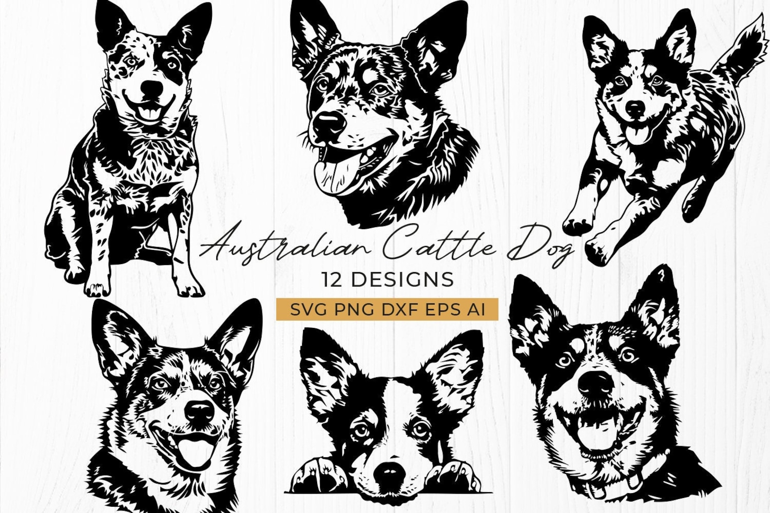 Australian Cattle Dog Blue Heeler SVG Cricut | Cute Puppy Clipart, Dog ...