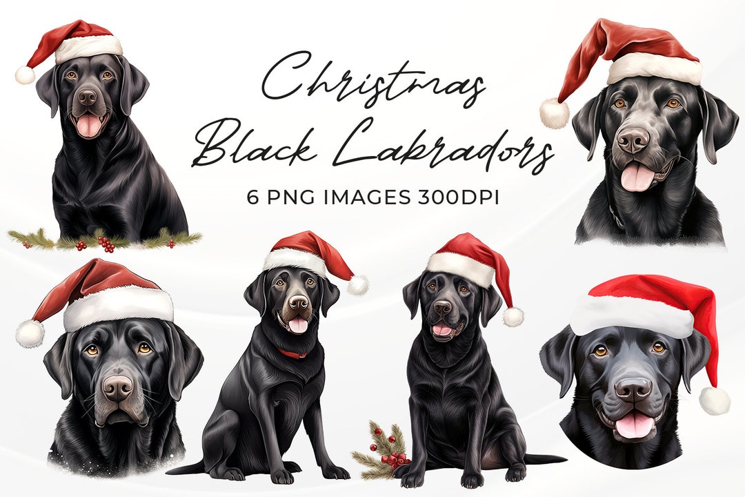 Christmas Black Labrador PNG Bundle | Santa Hat Black Labrador ...