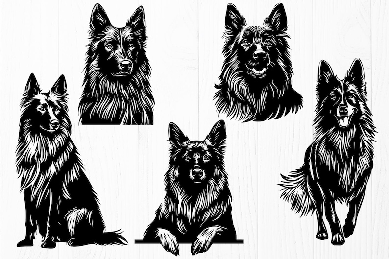 Groenendaeler SVG-bundel | 10 ontwerpen voor Belgische herdershonden ...