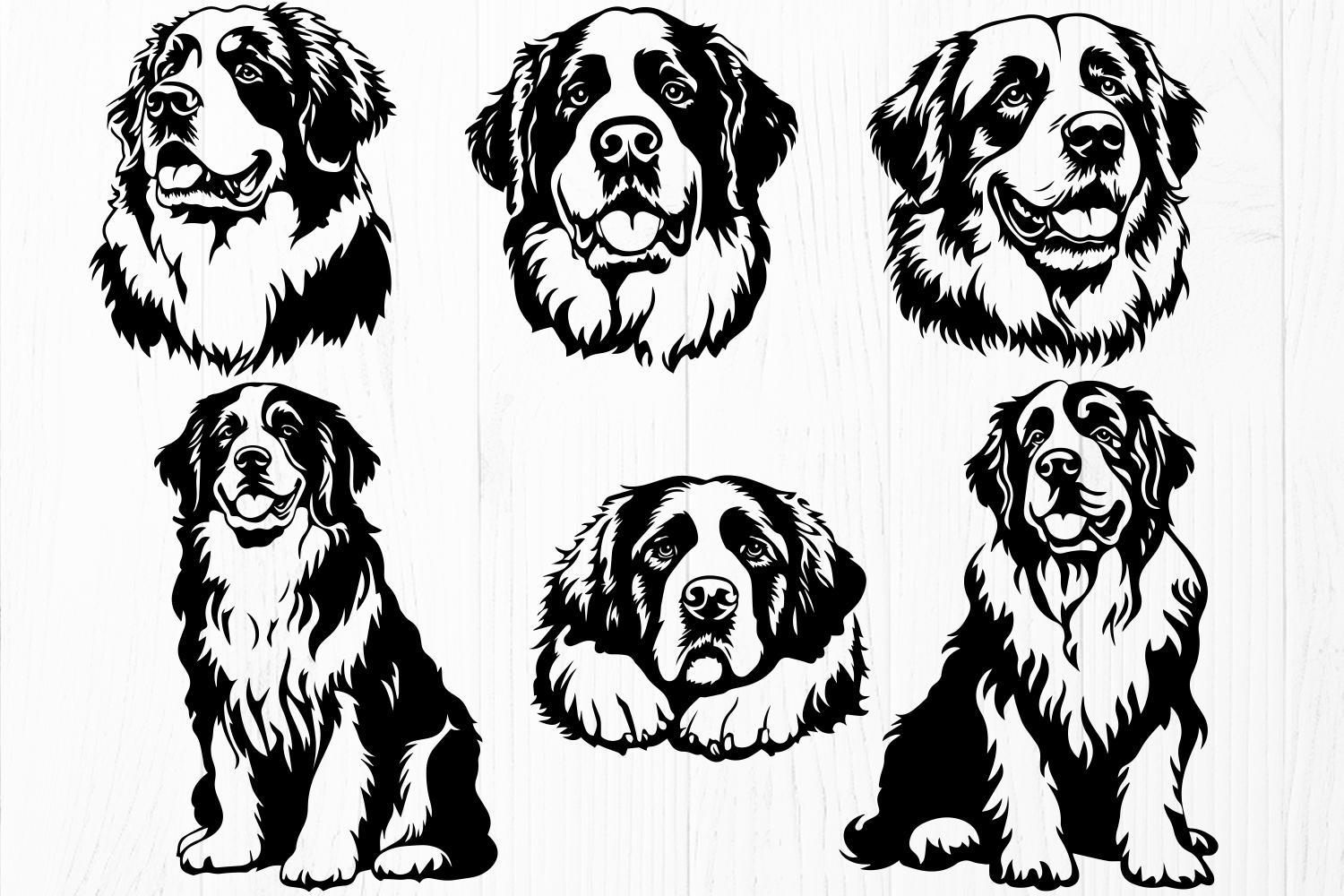 Saint Bernard Dog SVG Bundle | 11 Saint Bernard Designs | Dog Lover Svg ...