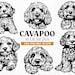 Cavapoo Dog SVG Bundle – 10 Cute Puppy Silhouette Designs, Digital ...