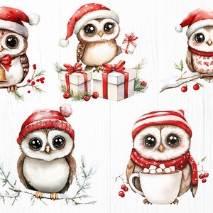 Christmas Winter Owls PNG Clipart Bundle Cute Holiday Owls With Gifts ...